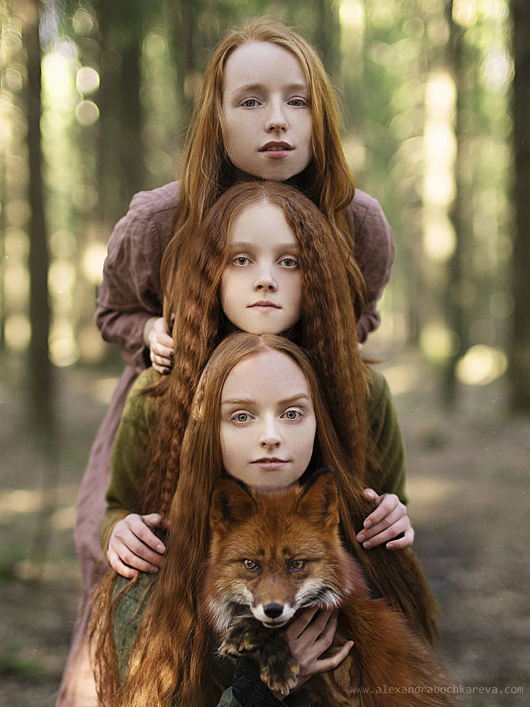 12 imagens fantásticas mostrando a semelhança de raposas com garotas ruivas 12 imagens fantásticas mostrando a semelhança de raposas com garotas ruivas