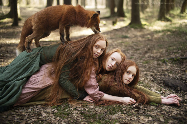 12 imagens fantásticas mostrando a semelhança de raposas com garotas ruivas 12 imagens fantásticas mostrando a semelhança de raposas com garotas ruivas