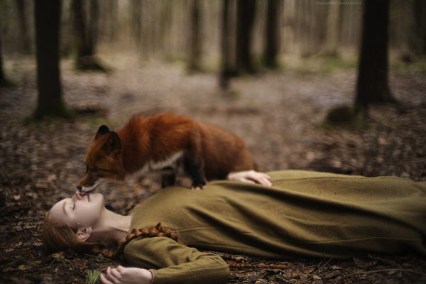 12 imagens fantásticas mostrando a semelhança de raposas com garotas ruivas 12 imagens fantásticas mostrando a semelhança de raposas com garotas ruivas