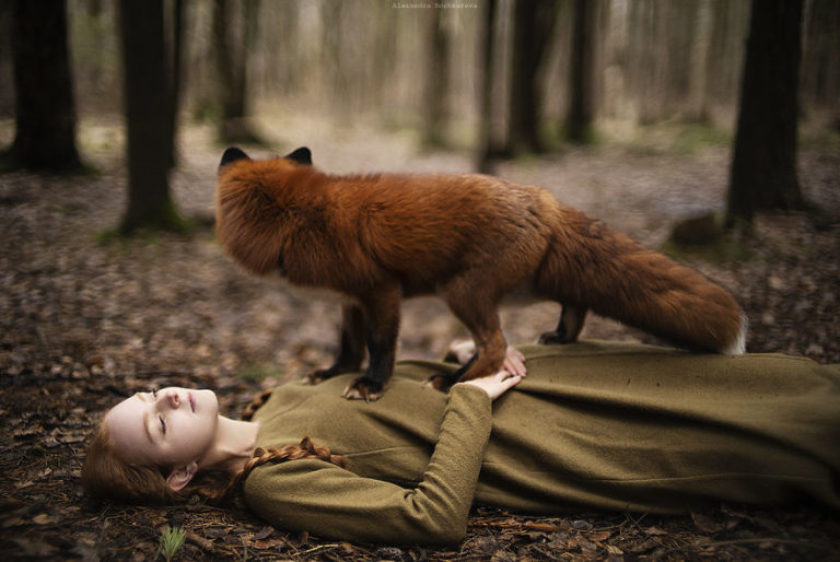 12 imagens fantásticas mostrando a semelhança de raposas com garotas ruivas 12 imagens fantásticas mostrando a semelhança de raposas com garotas ruivas
