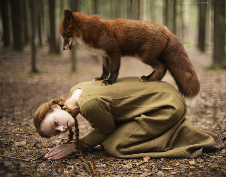 12 imagens fantásticas mostrando a semelhança de raposas com garotas ruivas 12 imagens fantásticas mostrando a semelhança de raposas com garotas ruivas